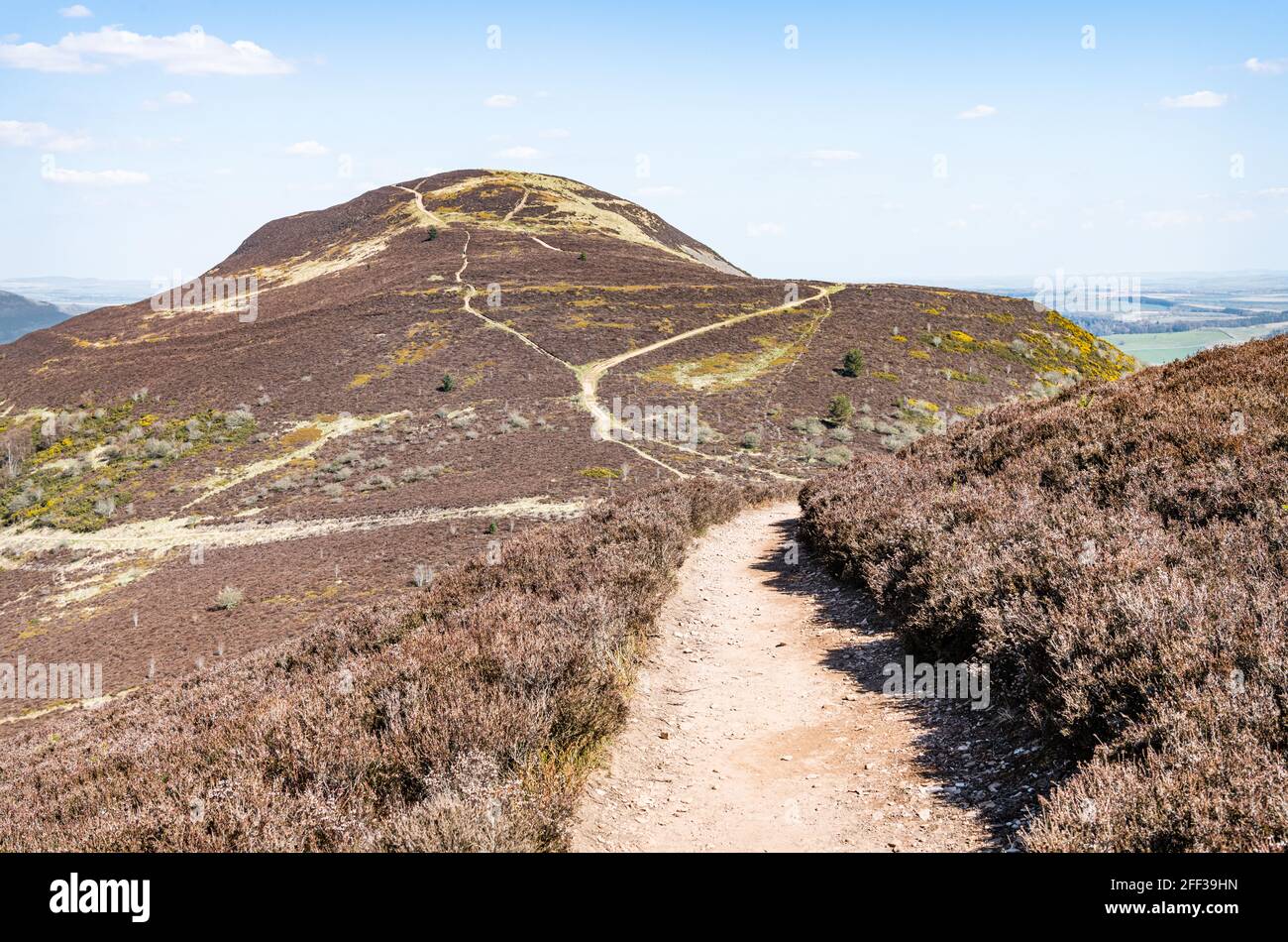 Borders countryside hi-res stock photography and images - Alamy