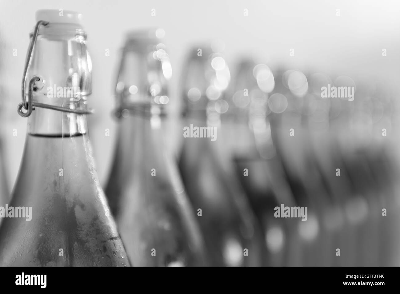 Black and white photo of a row of flip top bottles of home made cider ...