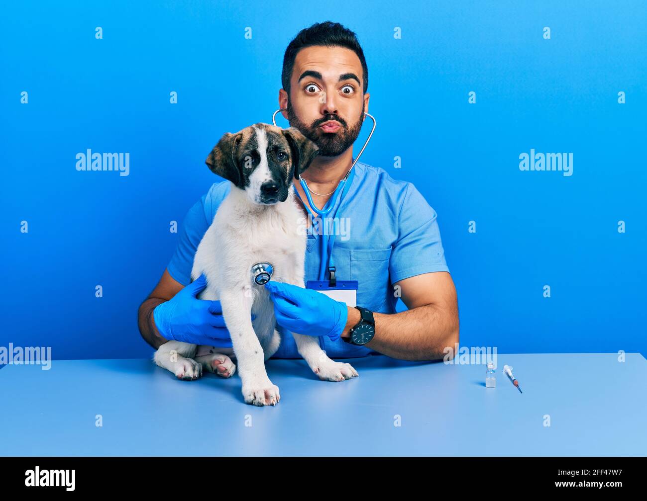 Handsome hispanic veterinary man with beard checking dog health using ...