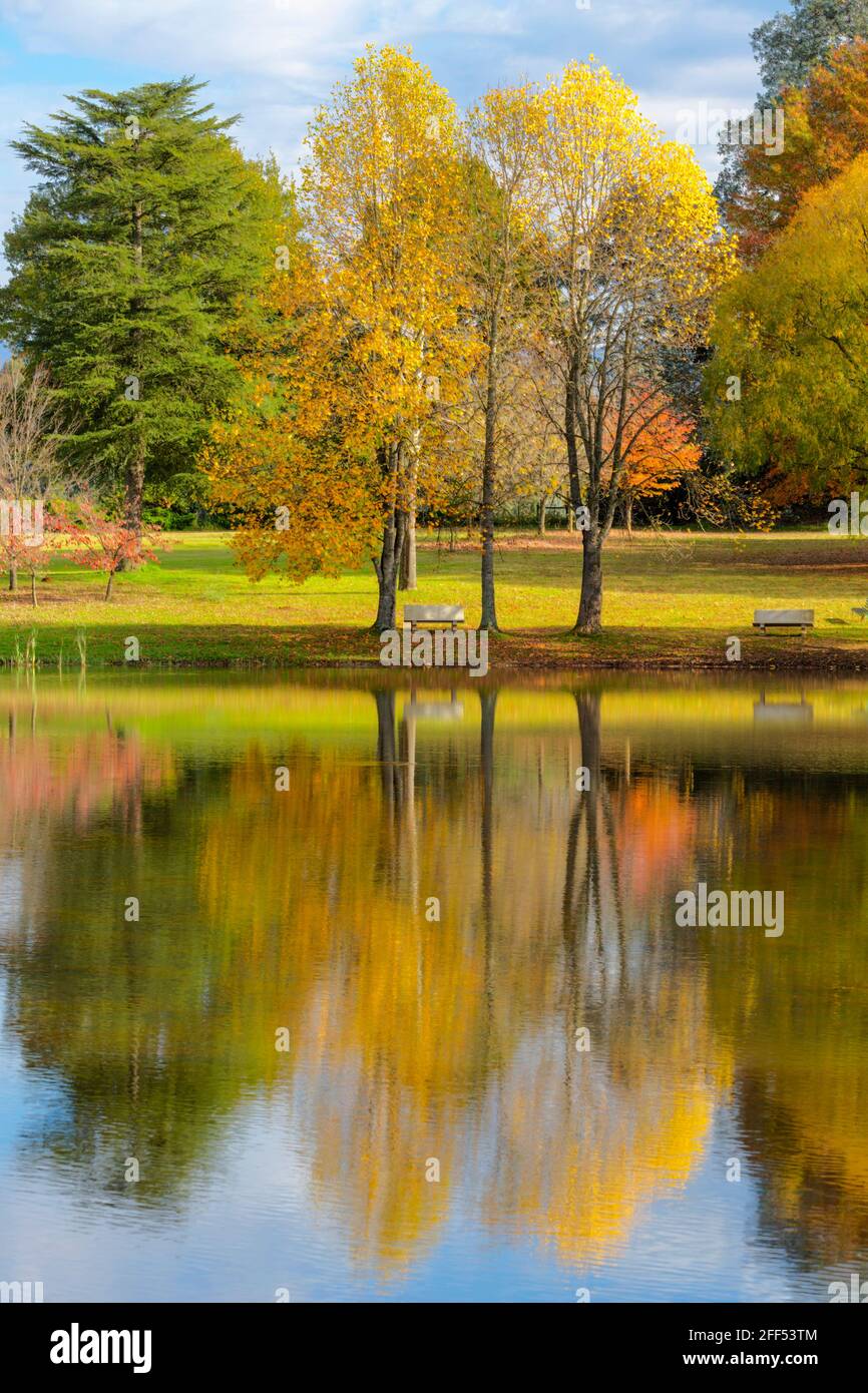 Autumn colored trees next to the pond Stock Photo - Alamy