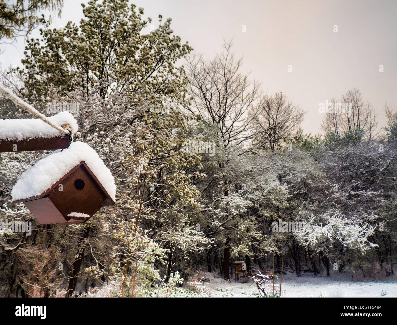 Snowfall wooden house in forest hi-res stock photography and images - Alamy
