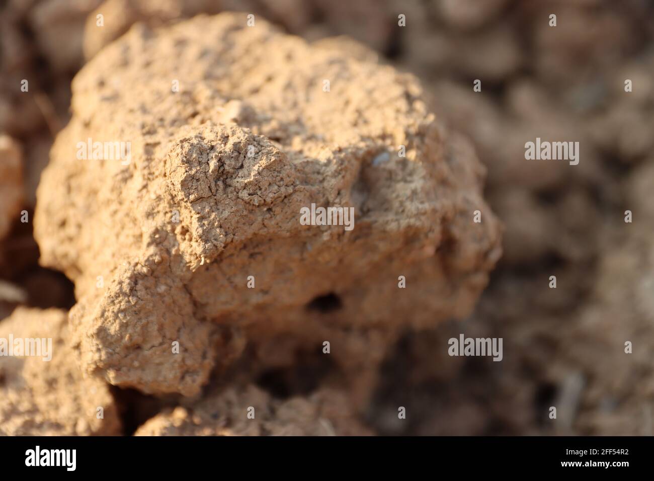 Zolla hi-res stock photography and images - Alamy