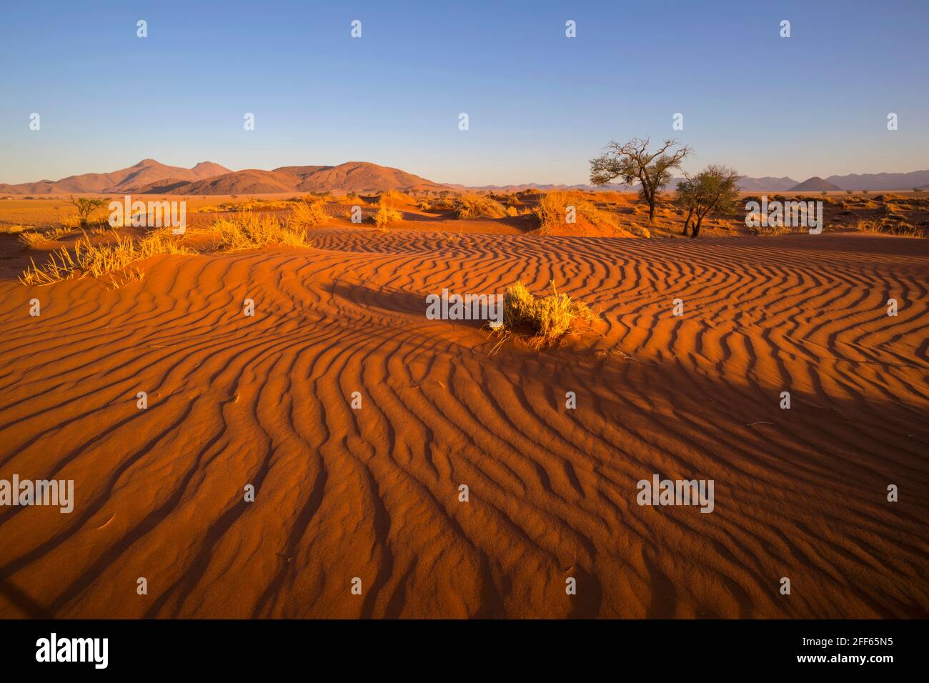 Symmetric patterns hi-res stock photography and images - Alamy