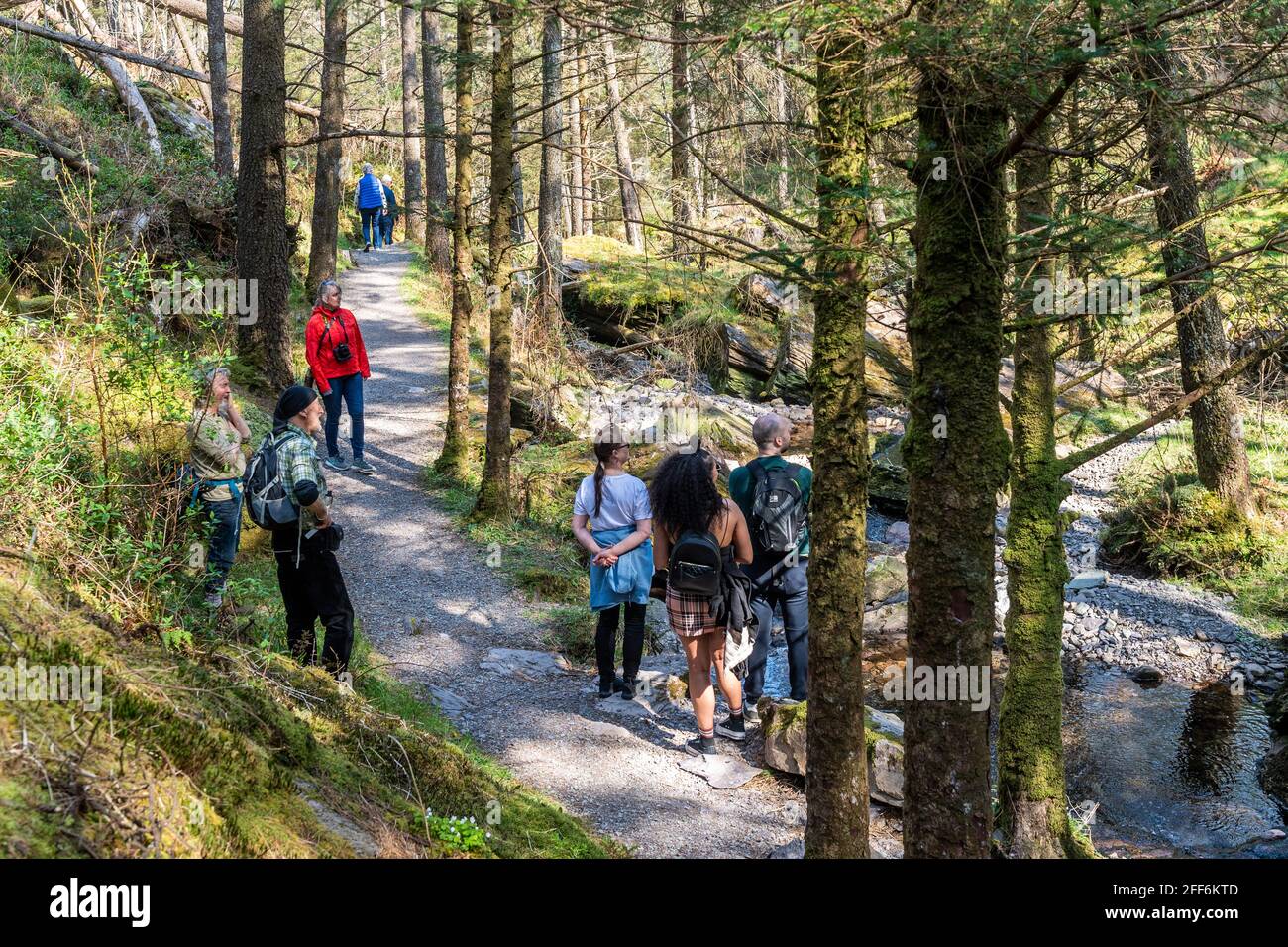 Tourists in Gougane Barra National Forest Park, Ballingeary, Macroom ...