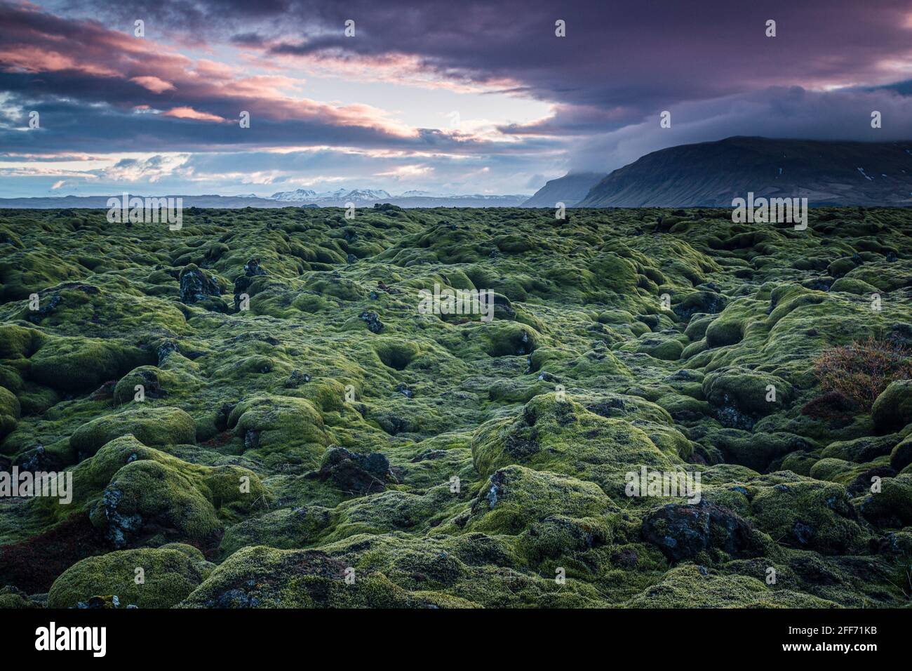 Lava islandia hi-res stock photography and images - Alamy
