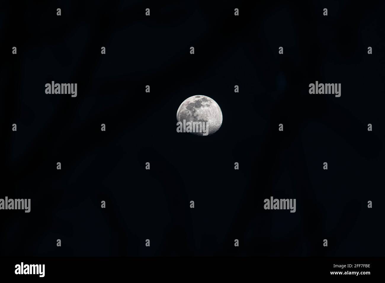 Illuminated moon among trees hi-res stock photography and images - Alamy