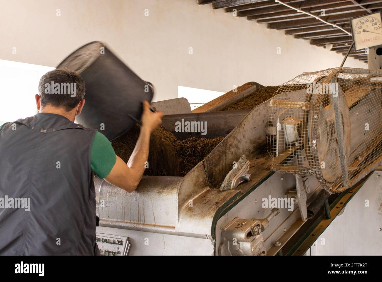 Tea factory Gorreana, at Sao Miguel island, Azores travel destination ...