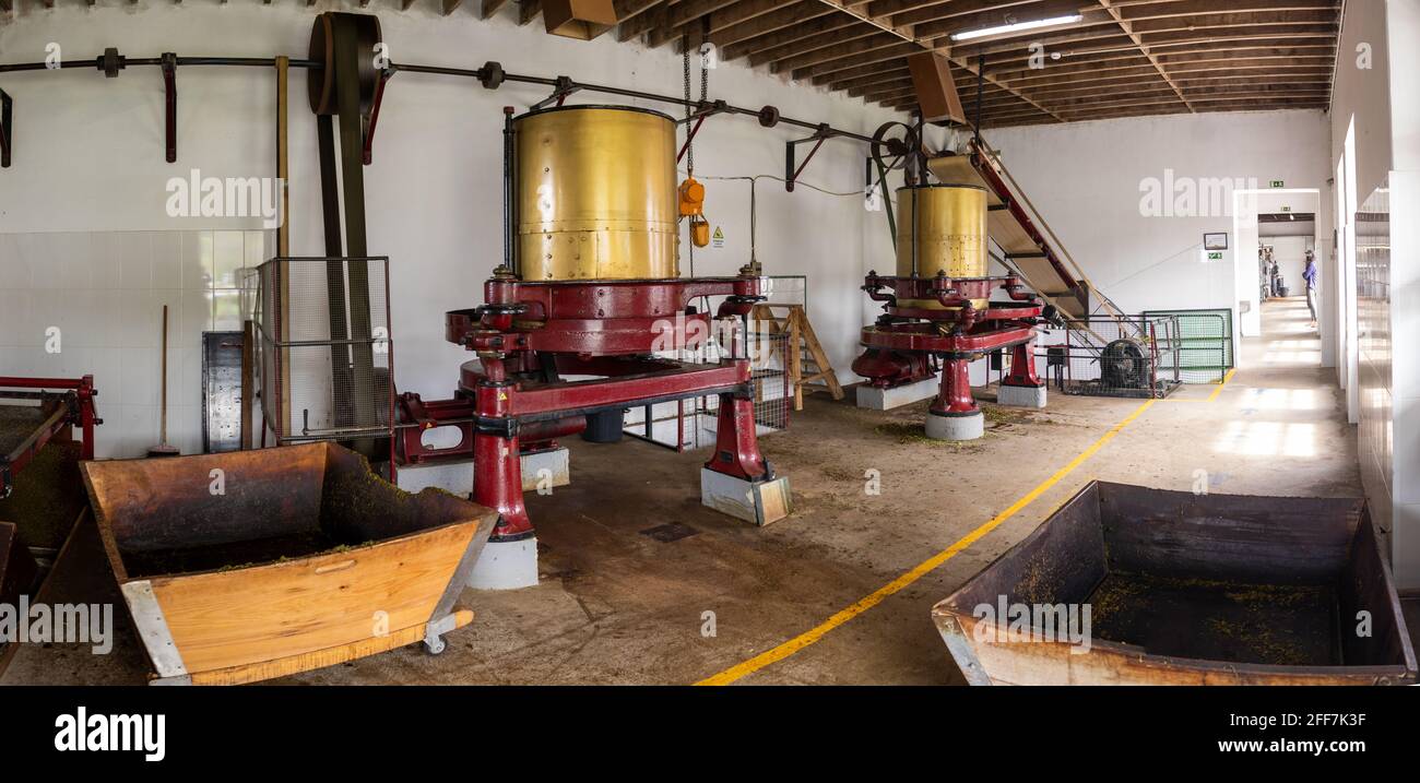 Tea factory Gorreana, at Sao Miguel island, Azores travel destination ...