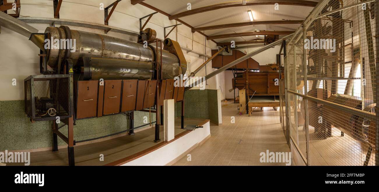 Tea factory Gorreana, at Sao Miguel island, Azores travel destination ...