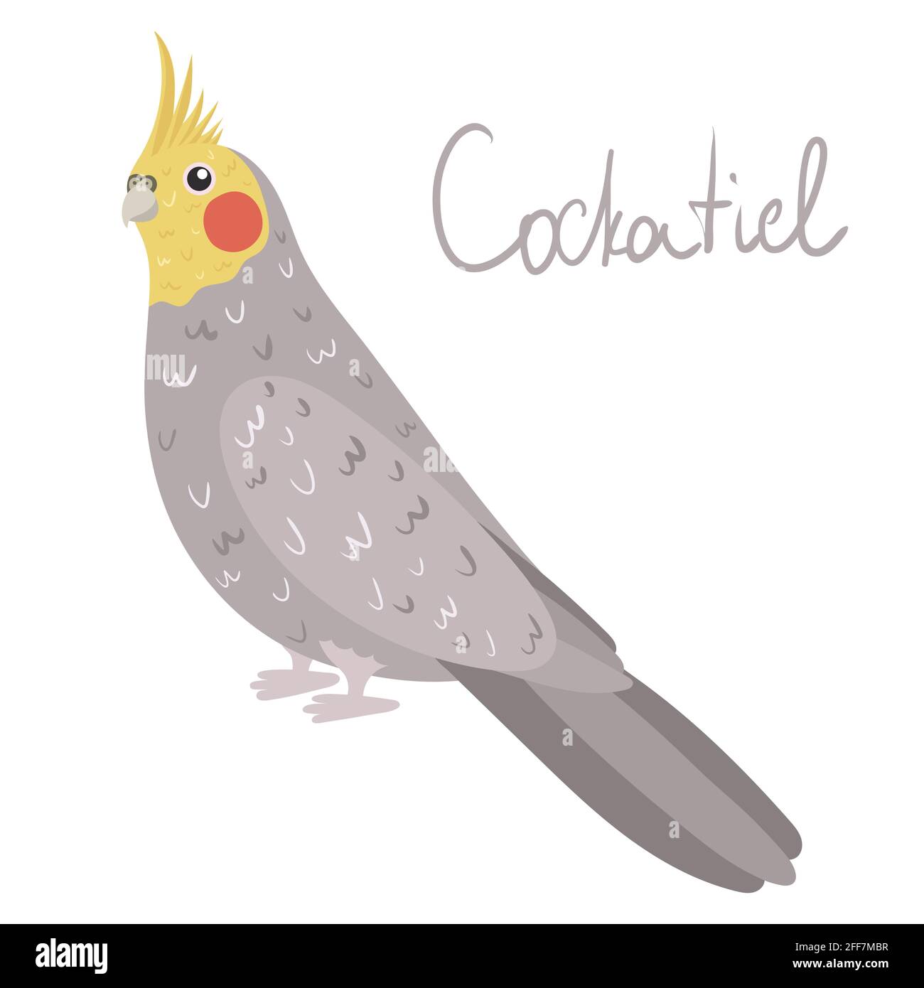 Parrot Cockatiel in cartoon style on white background. Vector hand ...