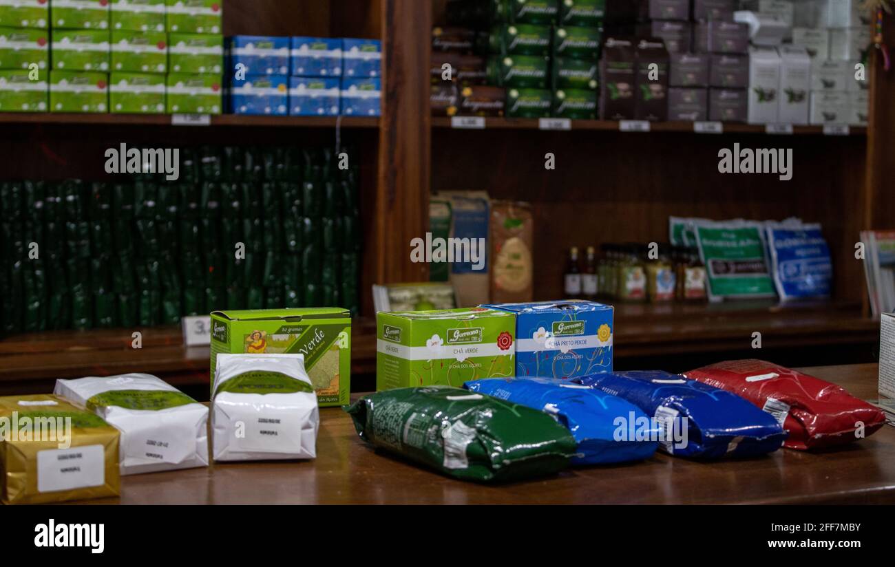 Tea factory Gorreana, at Sao Miguel island, Azores travel destination ...