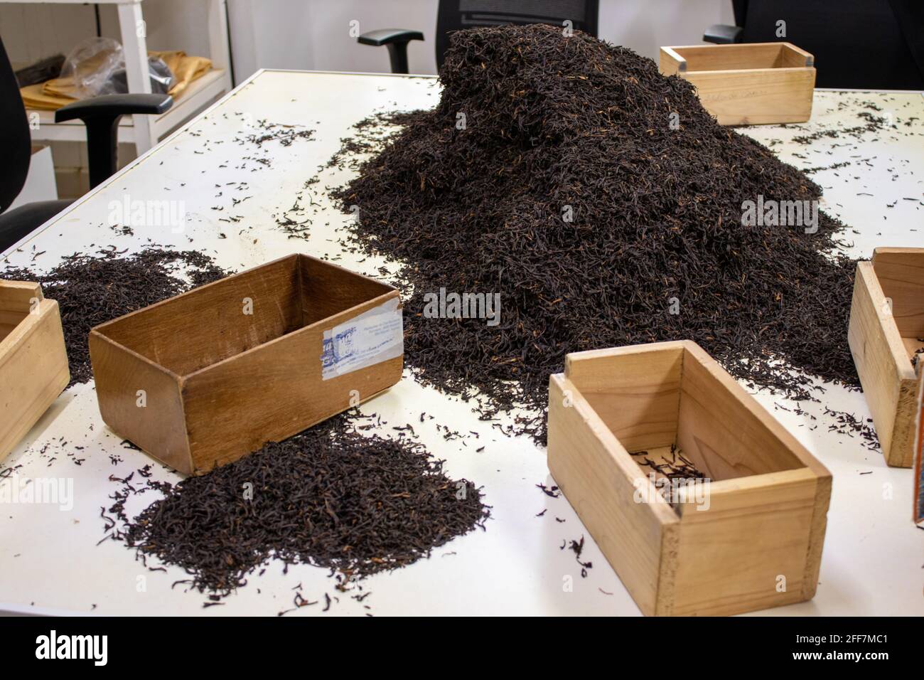 Tea factory Gorreana, at Sao Miguel island, Azores travel destination ...