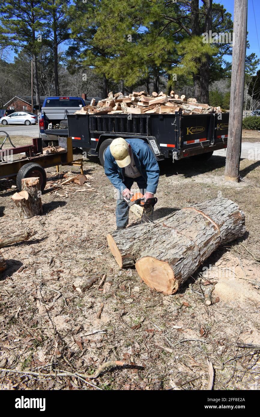A man cutting up a log for firewood Stock Photo - Alamy