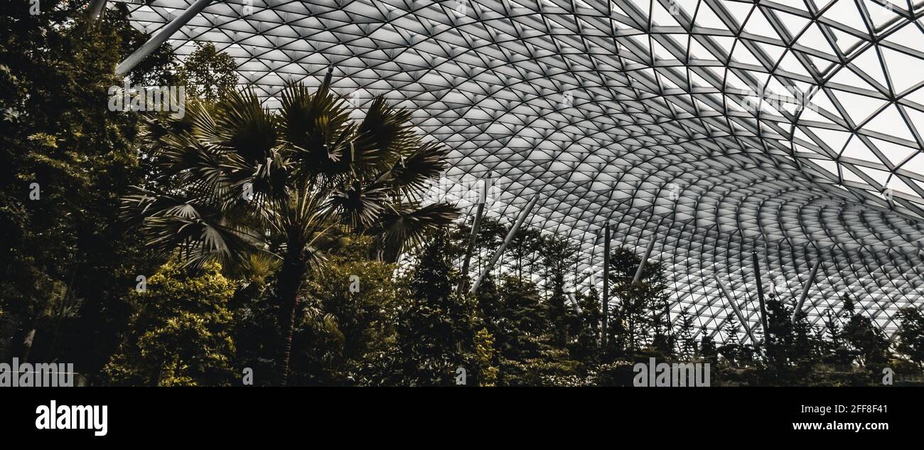 Singapore Changi airport indoor rainforest under a futuristic glass ...