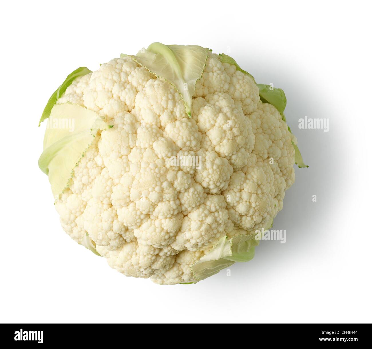 fresh raw cauliflower isolated on white background, top view Stock ...