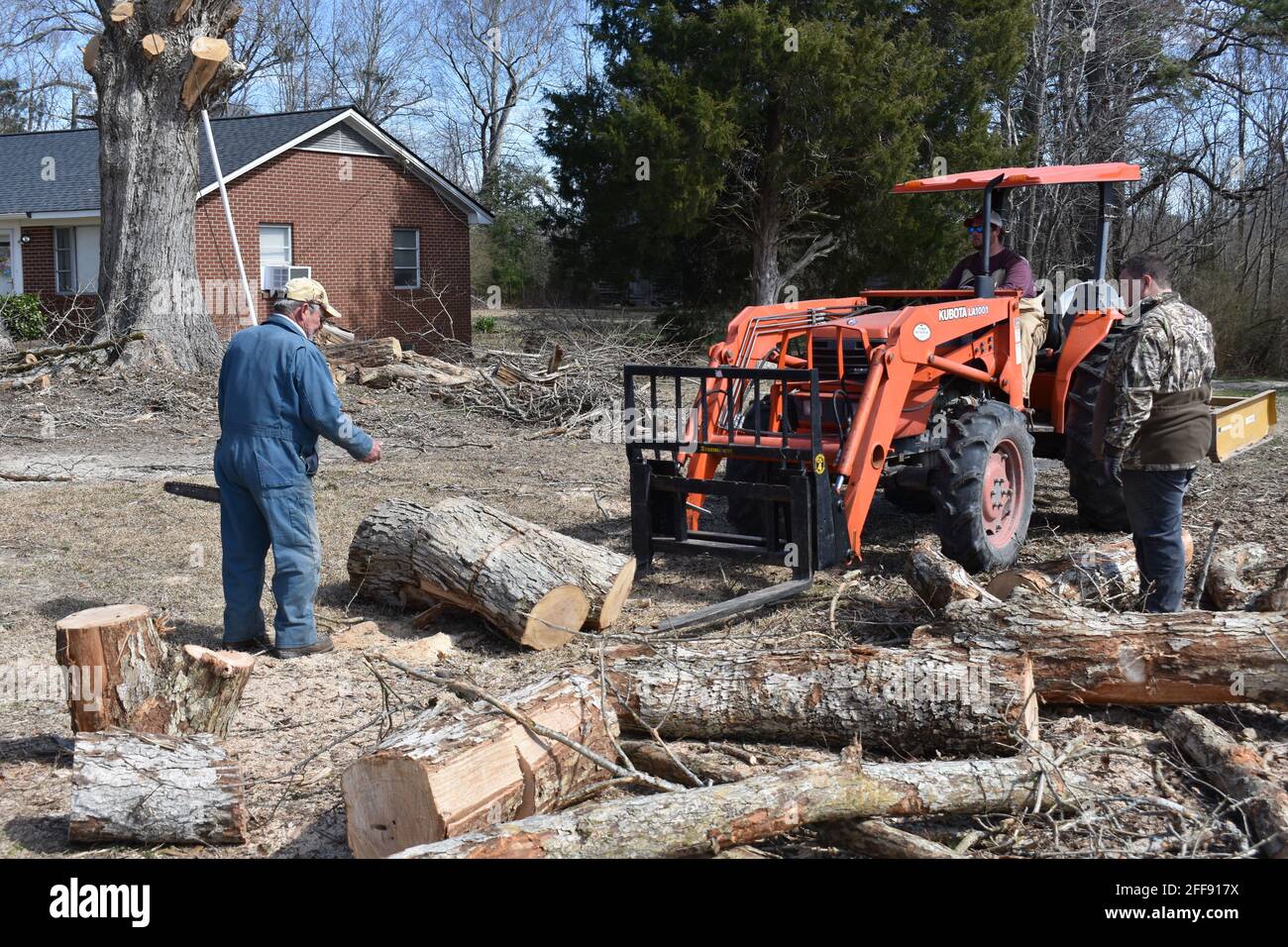 Men cutting logs for firewood Stock Photo - Alamy