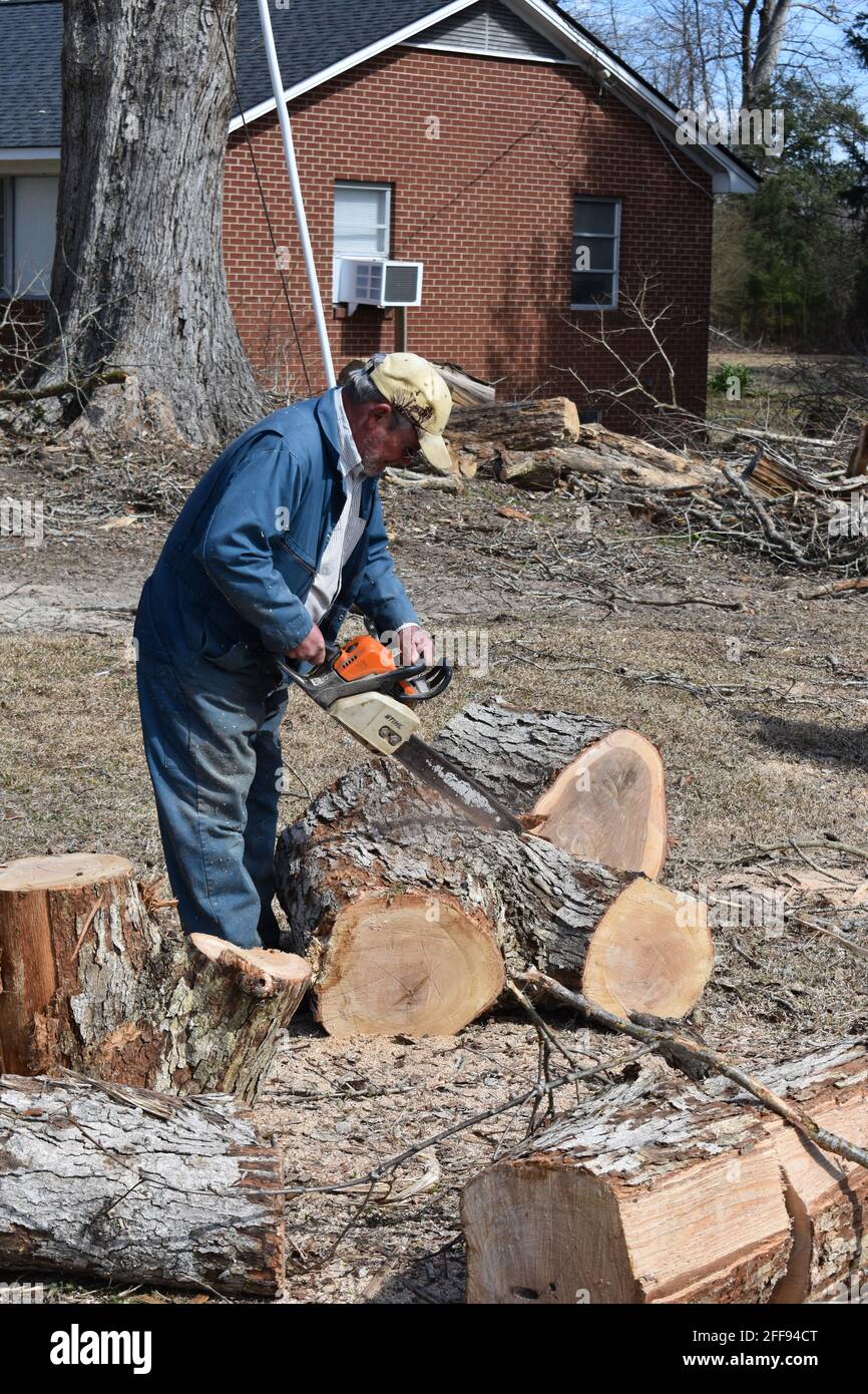 Men cutting up logs to be split into firewood Stock Photo - Alamy