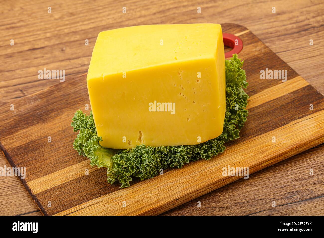 Yellow tilsiter cheese dairy product brick Stock Photo - Alamy