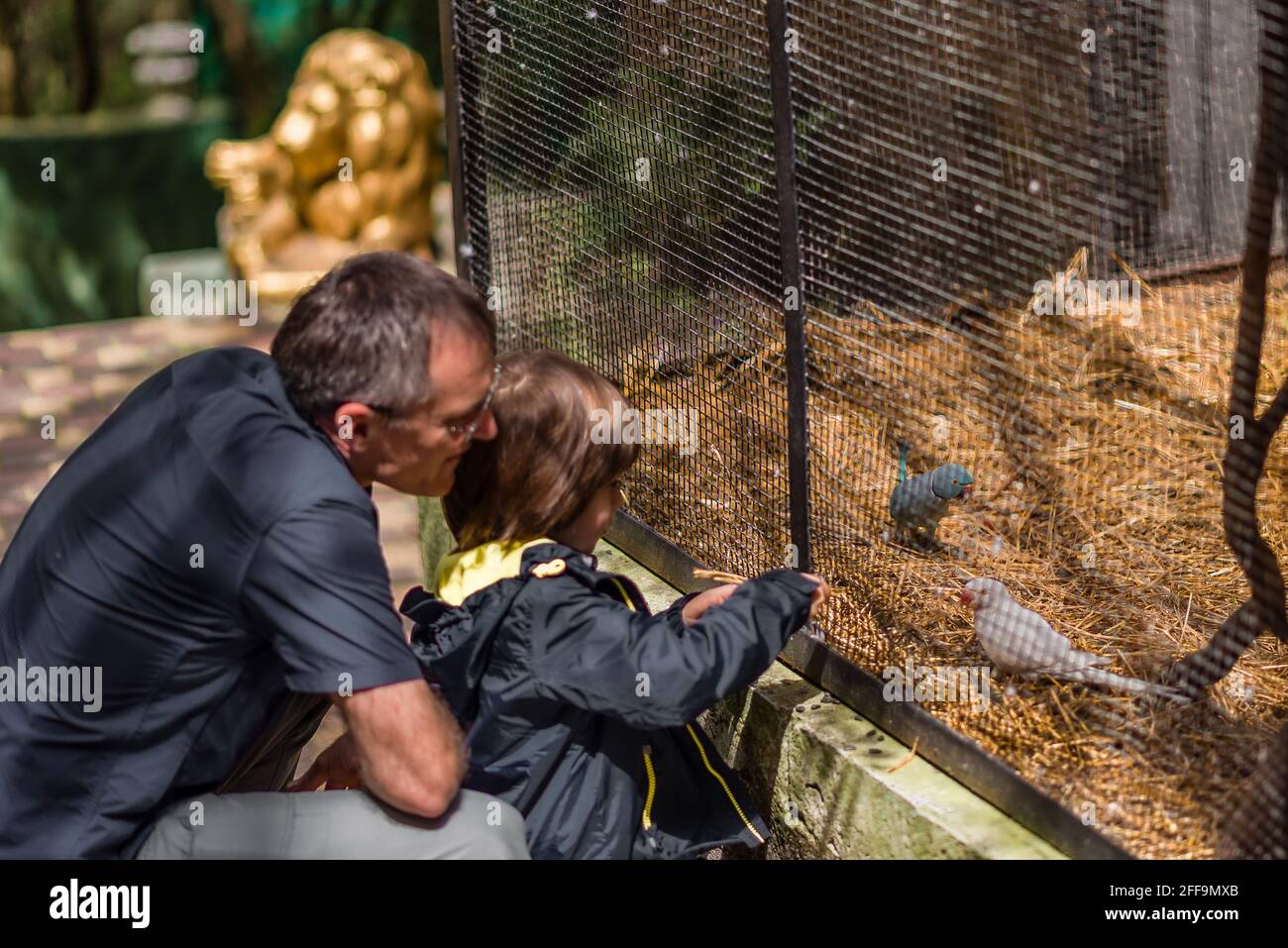 dad and son near the cage with parrots in the zoo, look at the birds ...