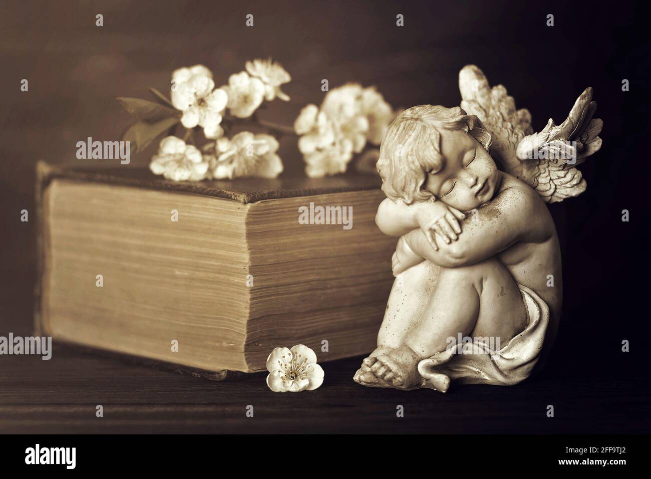 Guardian angel, spring flowers and book on dark background Stock Photo ...