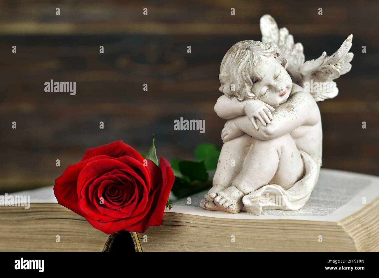 Little angel sleeping on the book Stock Photo - Alamy
