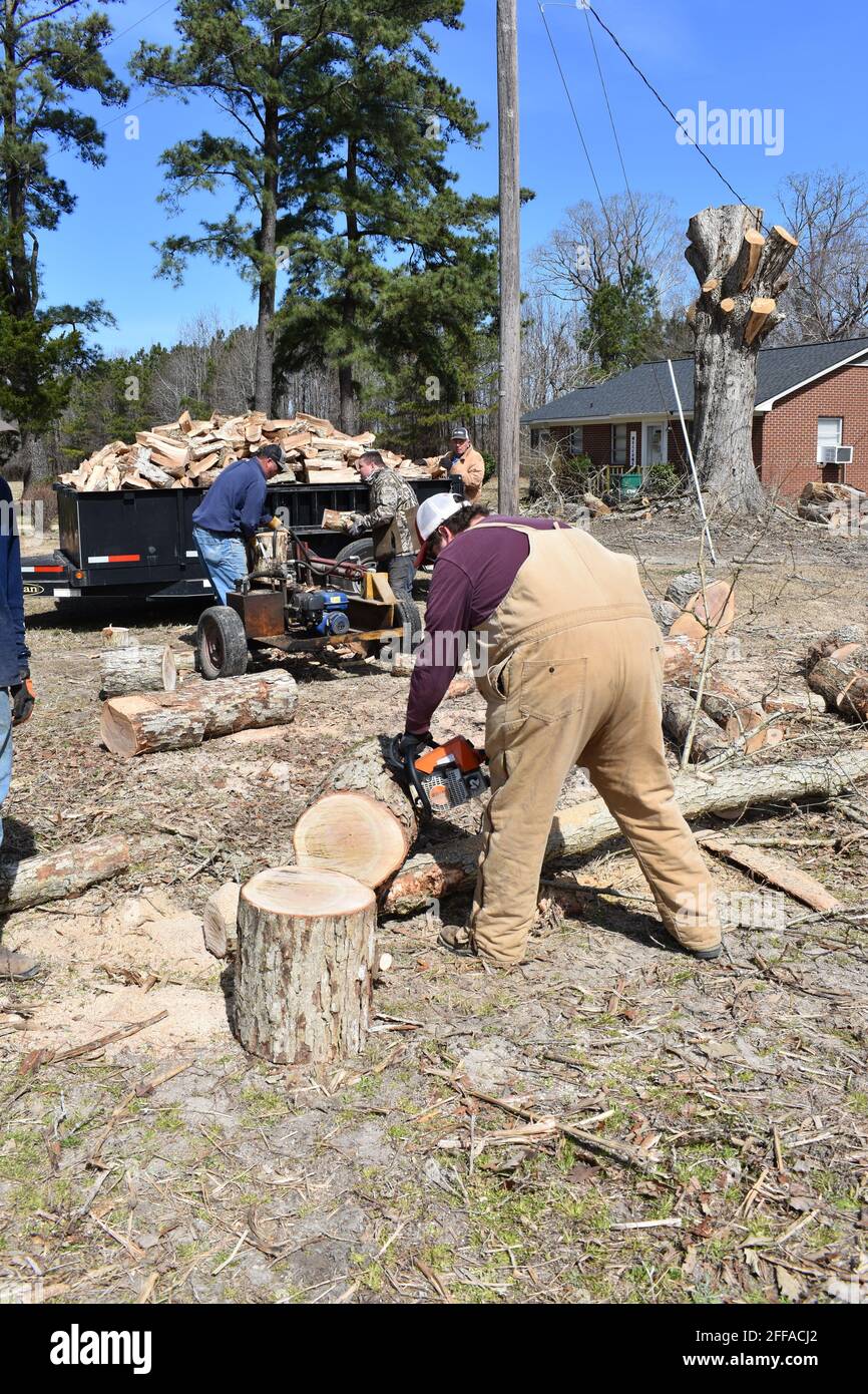 Men cutting up logs to be split into firewood Stock Photo - Alamy
