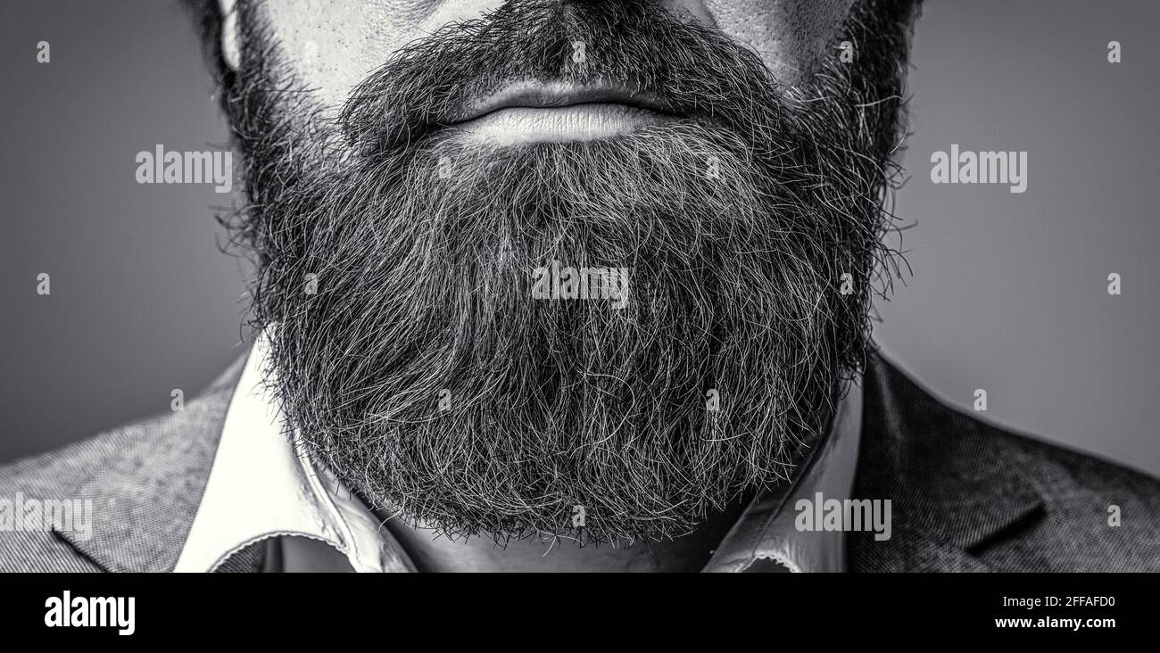 Perfect beard. Close up of handsome beard hipster elegant male. Bearded ...