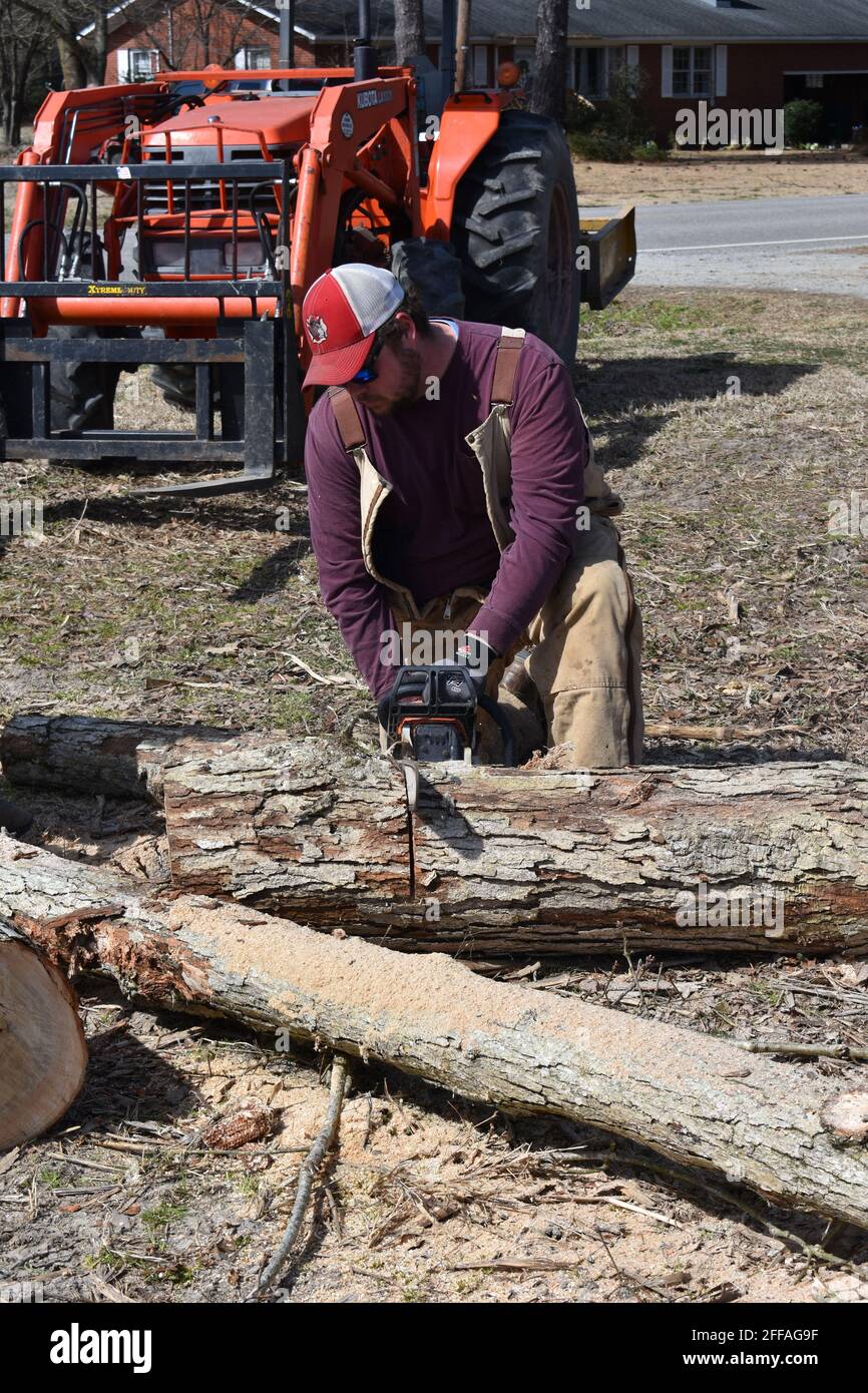 Men cutting up logs to be split into firewood Stock Photo - Alamy