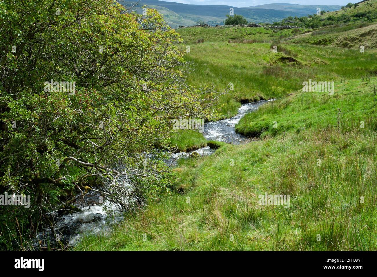 Eagle hill trail hi-res stock photography and images - Alamy