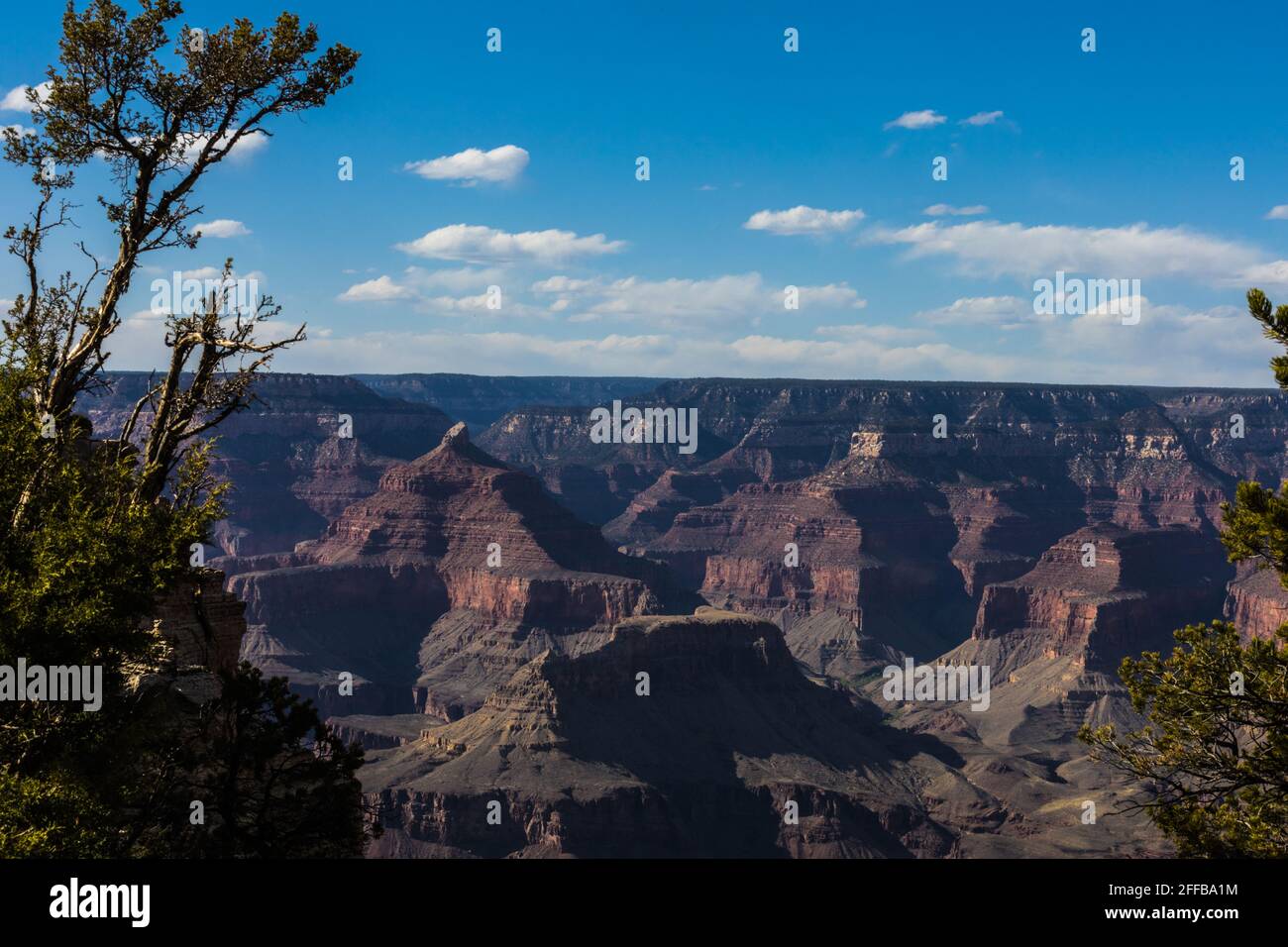 The Grand Canyon Stock Photo - Alamy