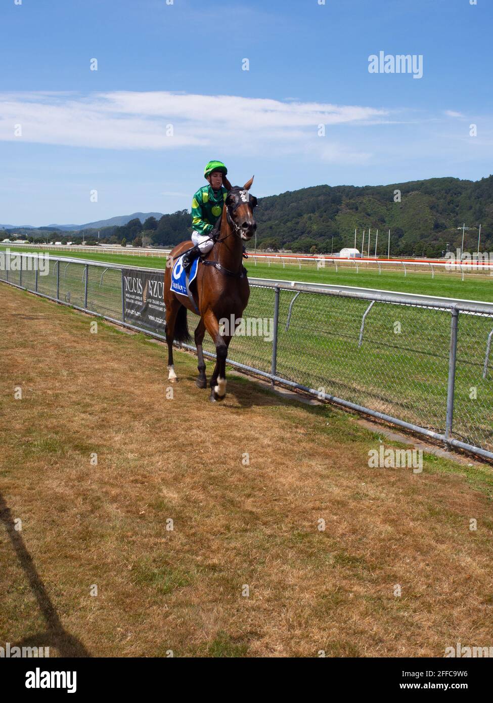 After race horse hi-res stock photography and images - Alamy