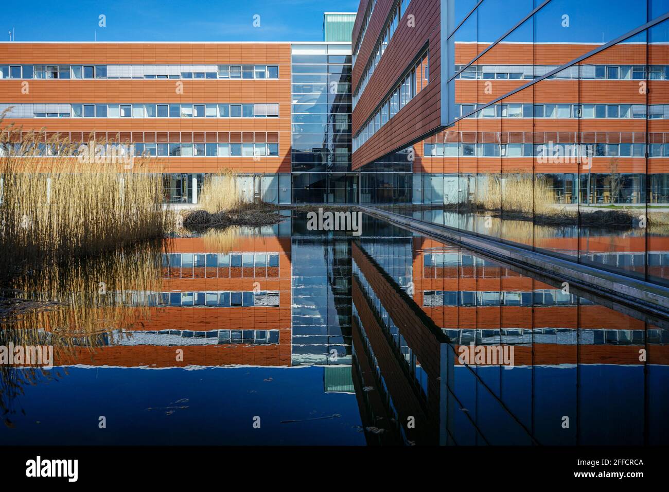 Lmu Munich High Resolution Stock Photography and Images - Alamy