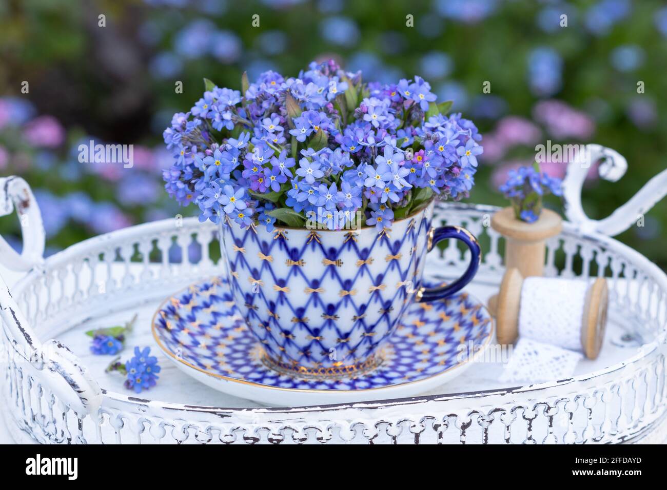 bouquet of forget me not flowers in vintage coffee cup as spring ...