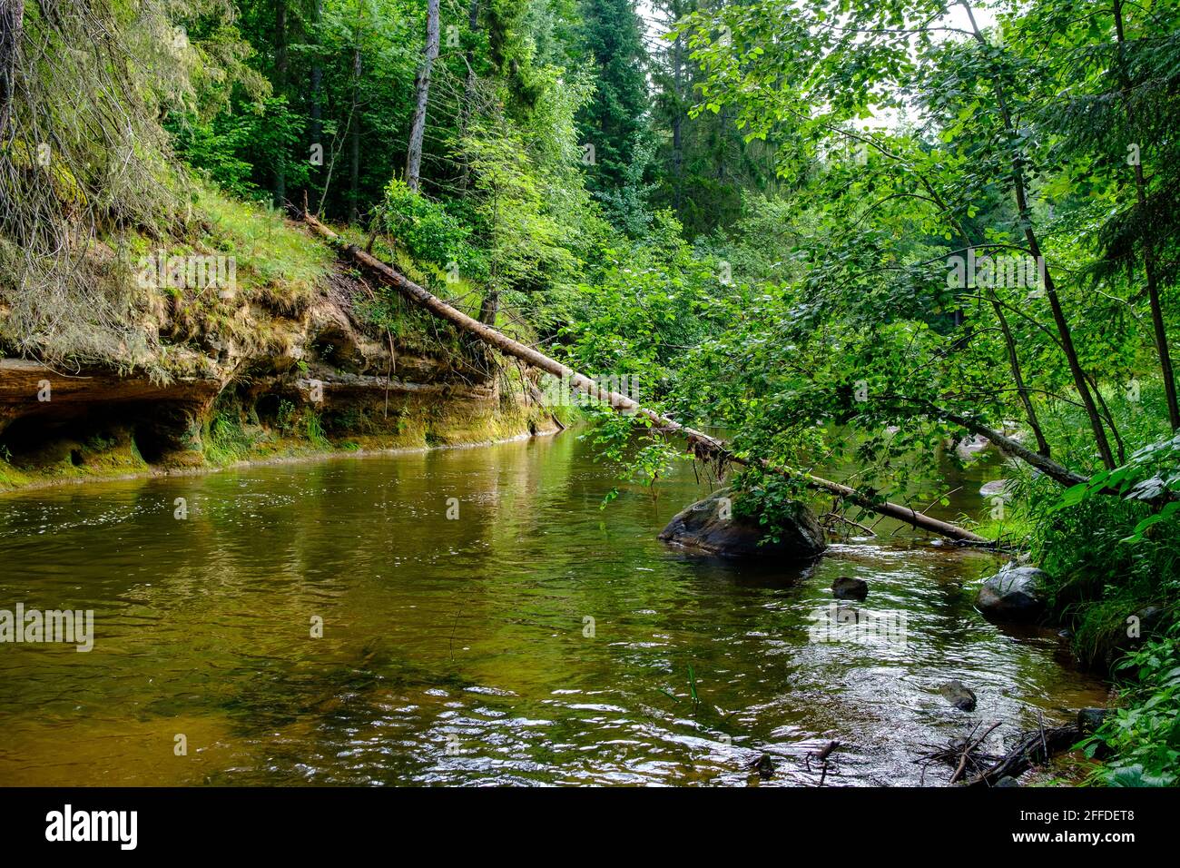 small country river stream in summer green forest with rocks and low ...