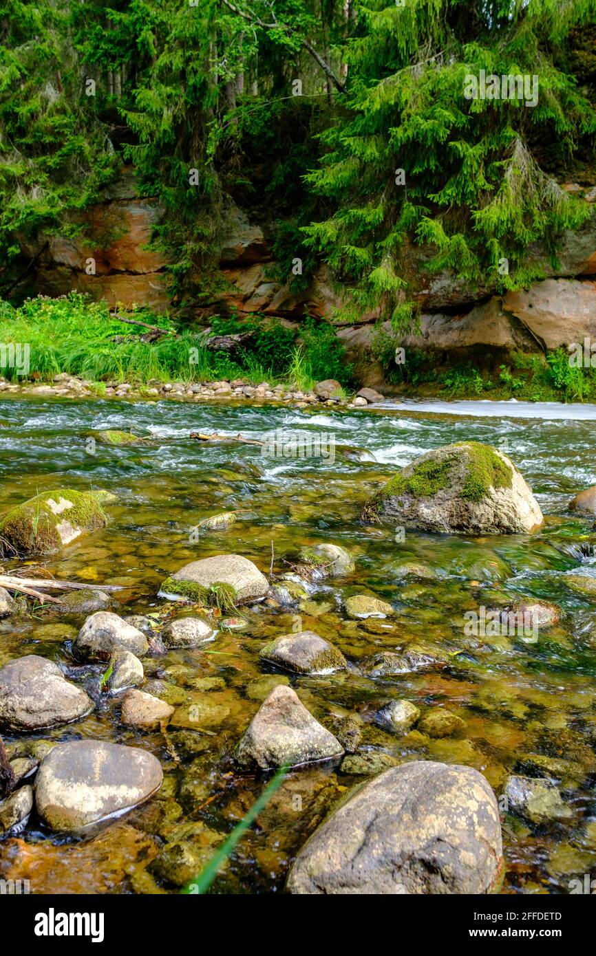 small country river stream in summer green forest with rocks and low ...