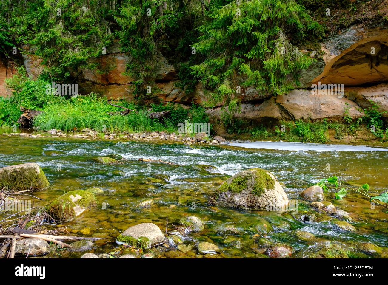 small country river stream in summer green forest with rocks and low ...
