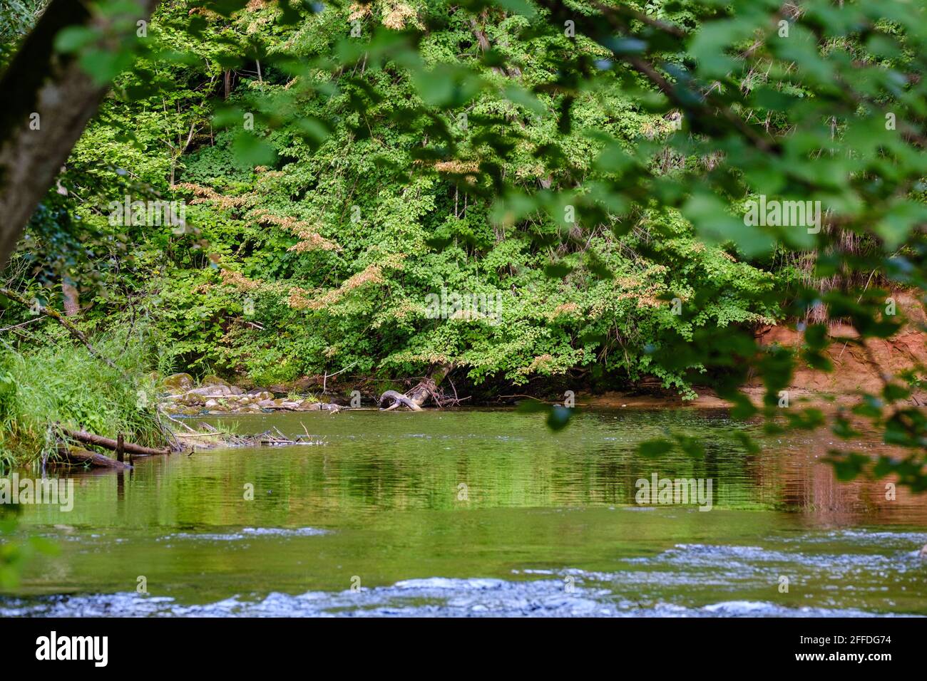 small country river stream in summer green forest with rocks and low ...