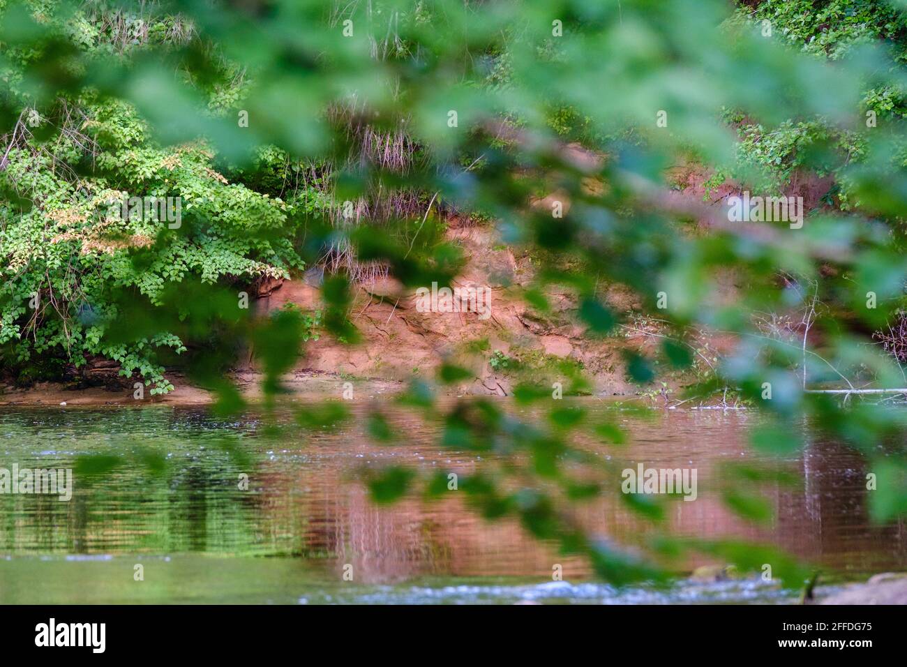 small country river stream in summer green forest with rocks and low ...