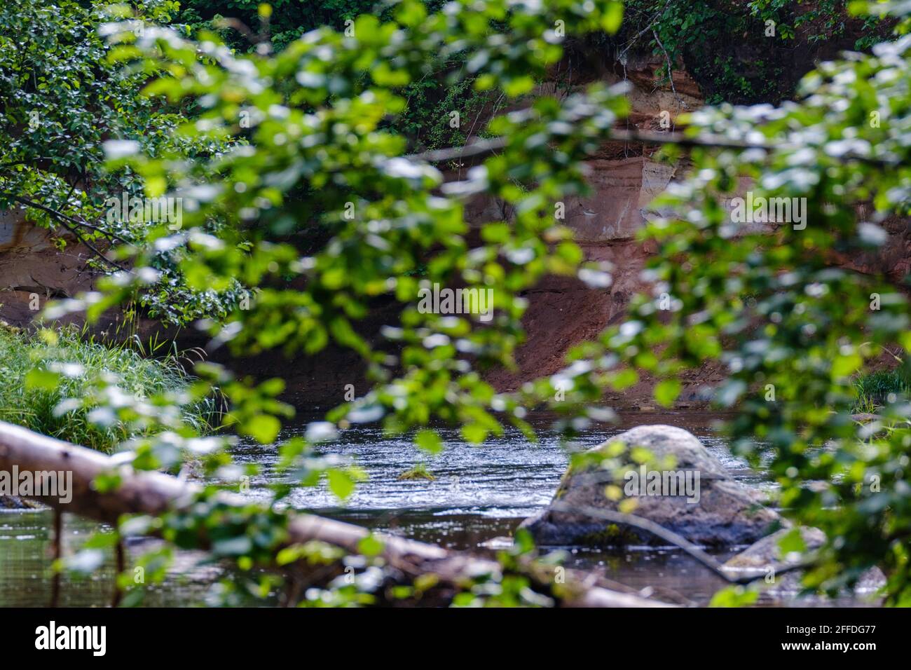 small country river stream in summer green forest with rocks and low ...