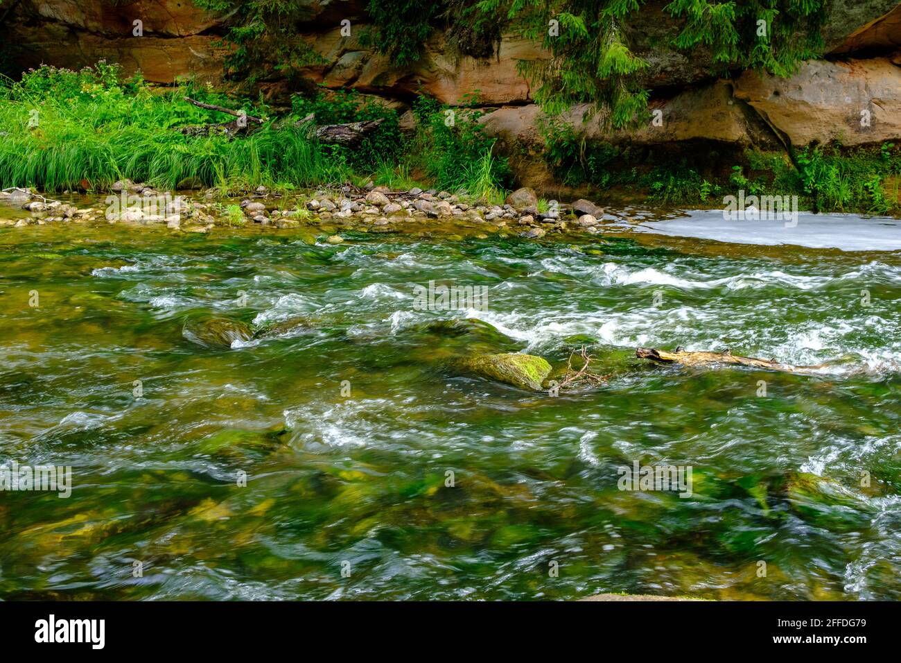 Stock water wetland zone hi-res stock photography and images - Alamy