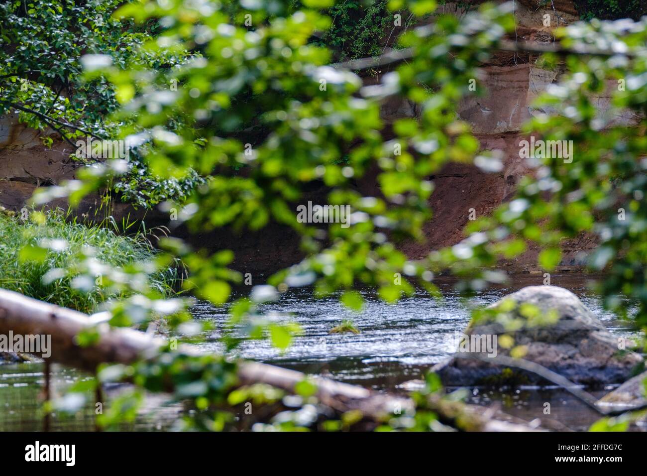 small country river stream in summer green forest with rocks and low ...