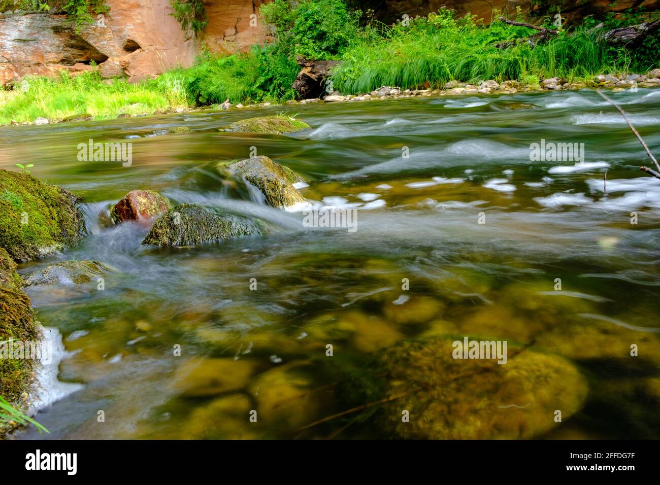 small country river stream in summer green forest with rocks and low ...