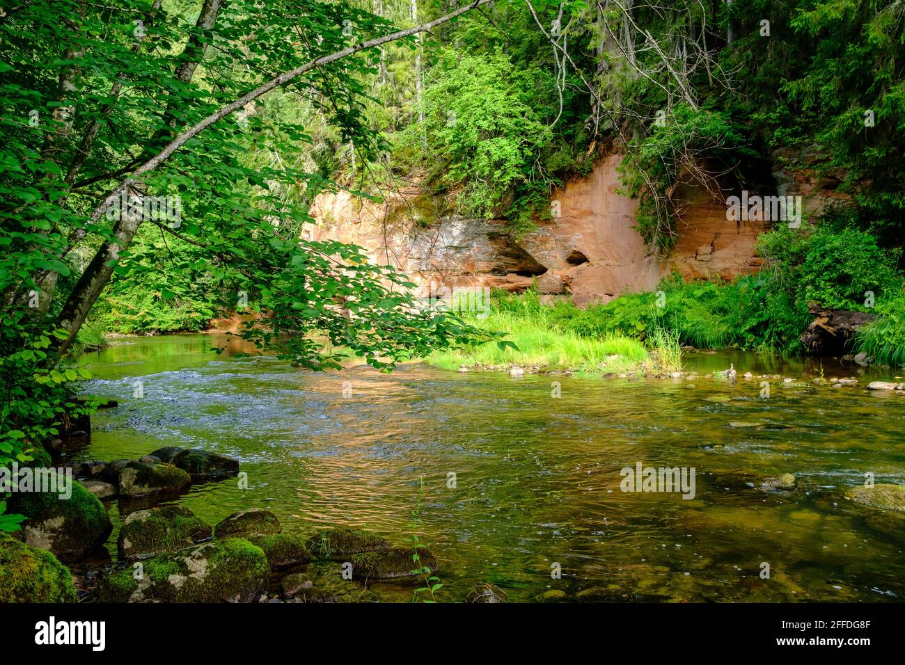 small country river stream in summer green forest with rocks and low ...
