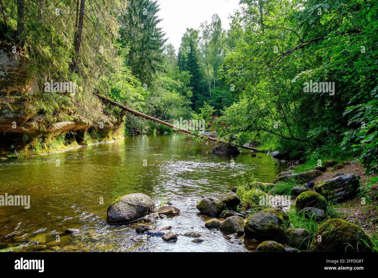 small country river stream in summer green forest with rocks and low ...