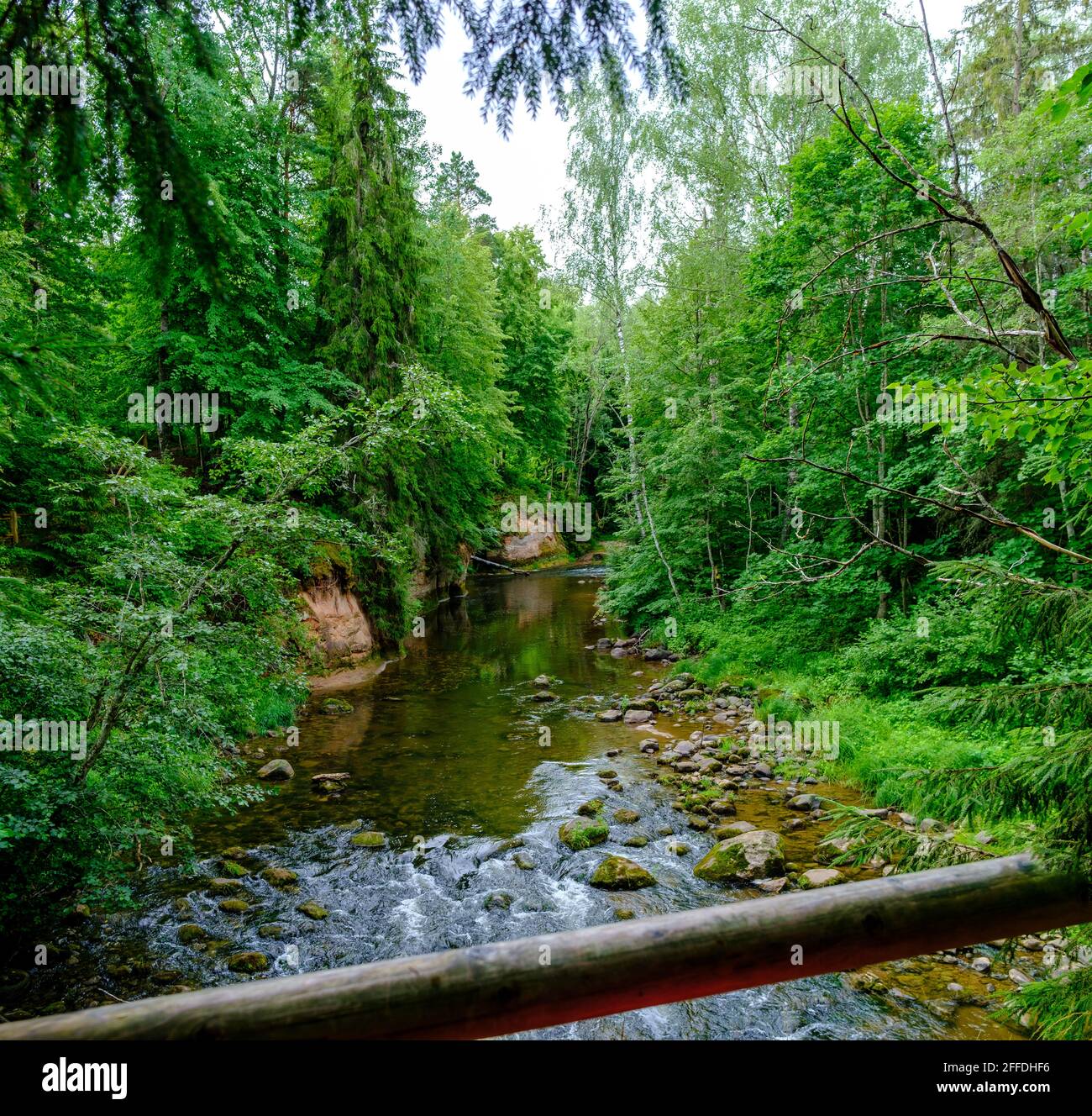 small country river stream in summer green forest with rocks and low ...