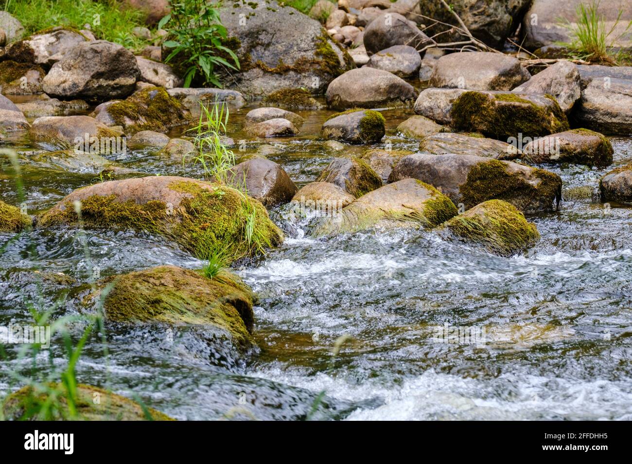 small country river stream in summer green forest with rocks and low ...
