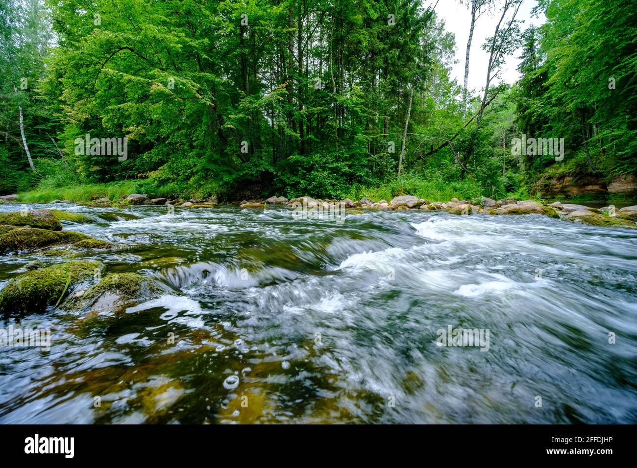 small country river stream in summer green forest with rocks and low ...