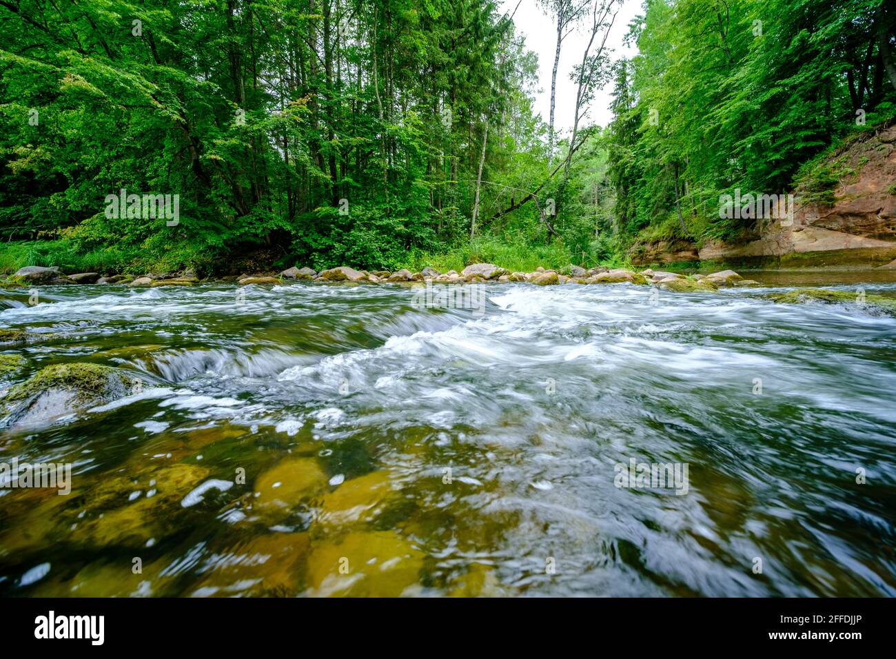 small country river stream in summer green forest with rocks and low ...