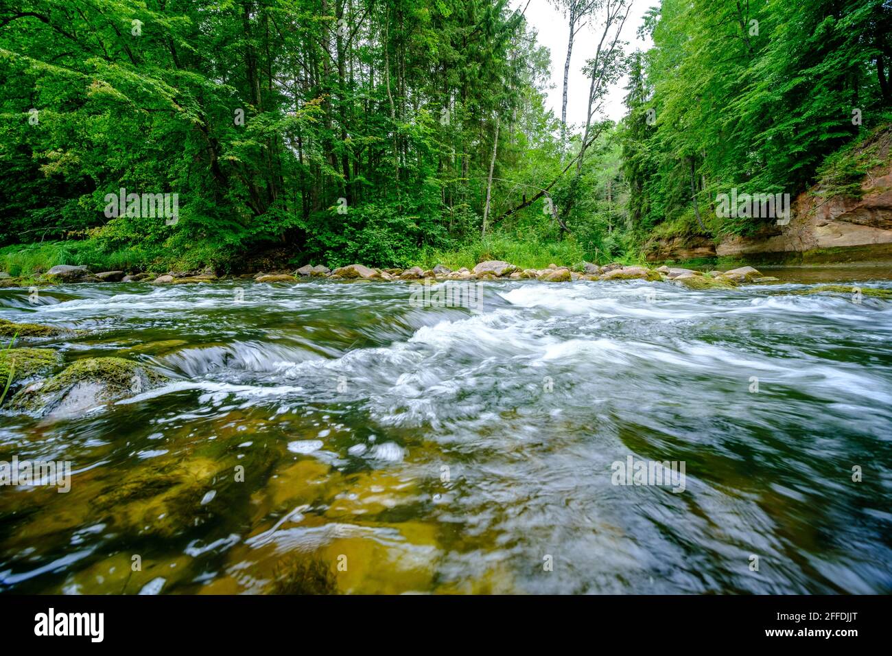 small country river stream in summer green forest with rocks and low water Stock Photo - Alamy