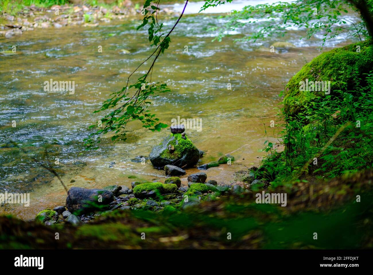 small country river stream in summer green forest with rocks and low ...